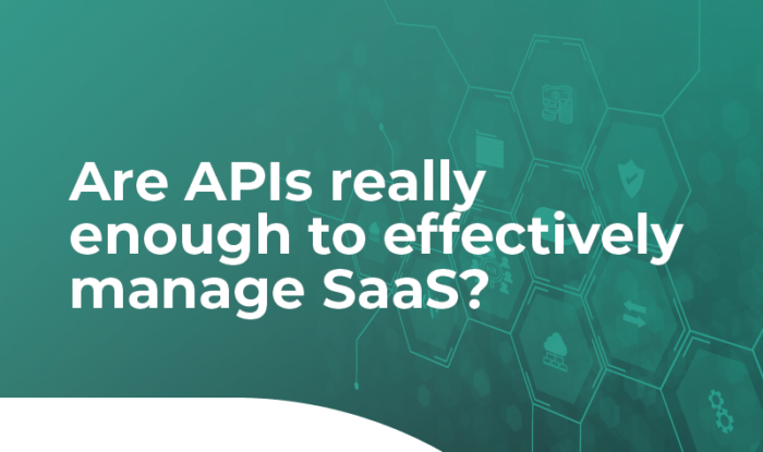 The Truth Behind SaaS APIs | Calero