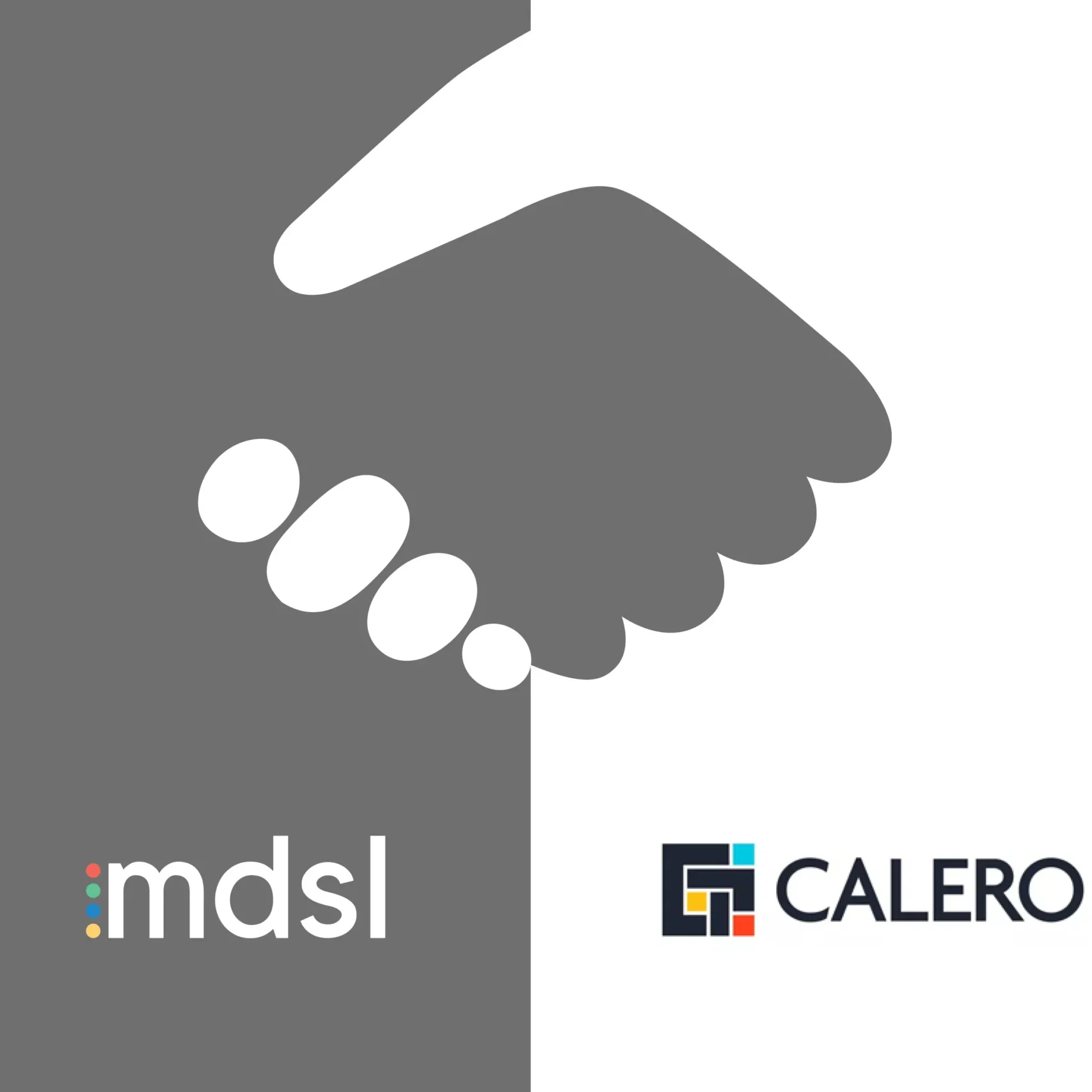 Mdsl Logo